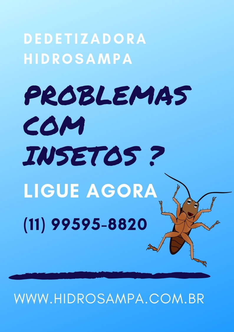 Dedetização Garantia - Dedetizadora Hidrosampa - Ligue 11 99595-8820 Dedetização Garantia - Dedetizadora Hidrosampa - Ligue 11 99595-8820